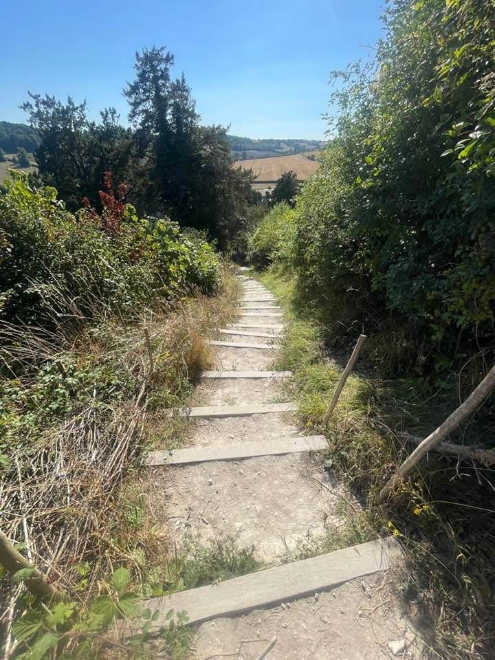 Path – MENTAL IDEAS